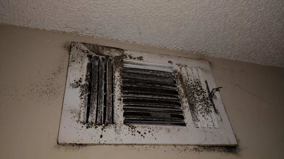 Mold in HVAC Systems: The Ultimate Guide • Jet Dry Cleaning & Restoration